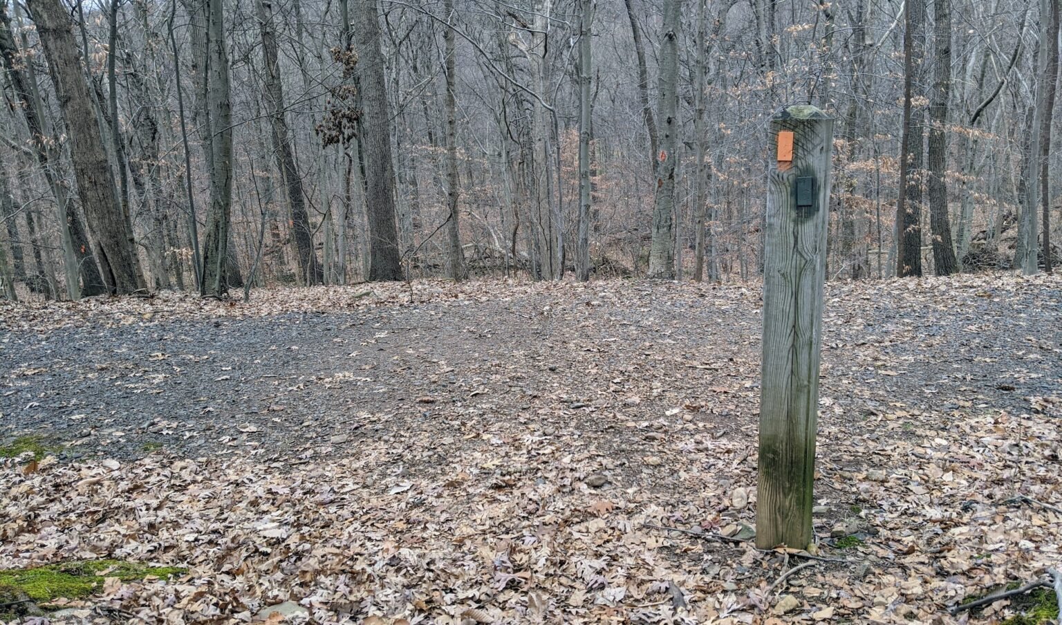 Turtleback Loop Trail at South Mountain Reservation - Running with Rock