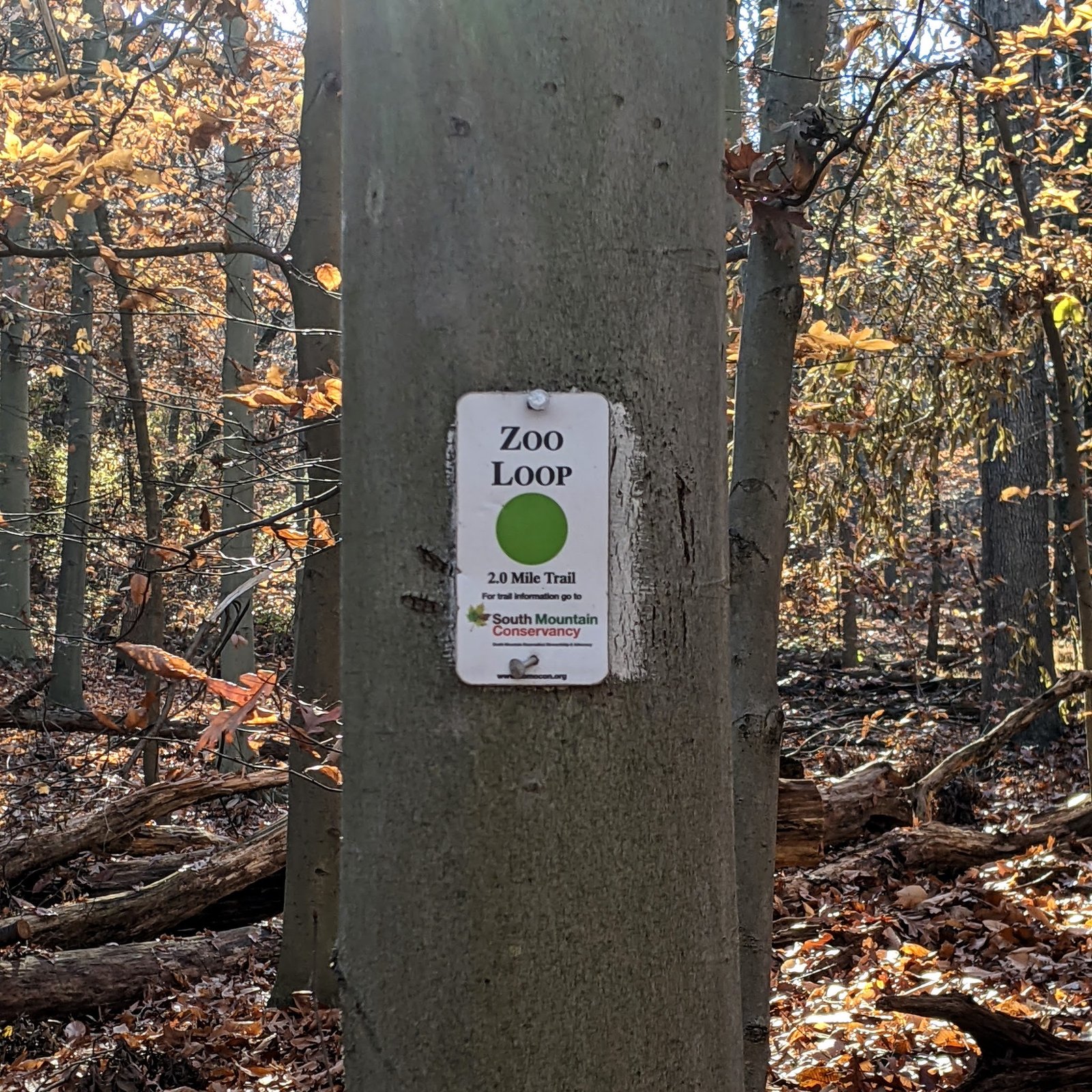 The Zoo Loop Trail at South Mountain Reservation - Running with Rock