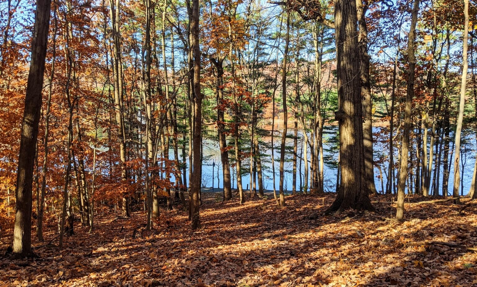 The Zoo Loop Trail at South Mountain Reservation - Running with Rock